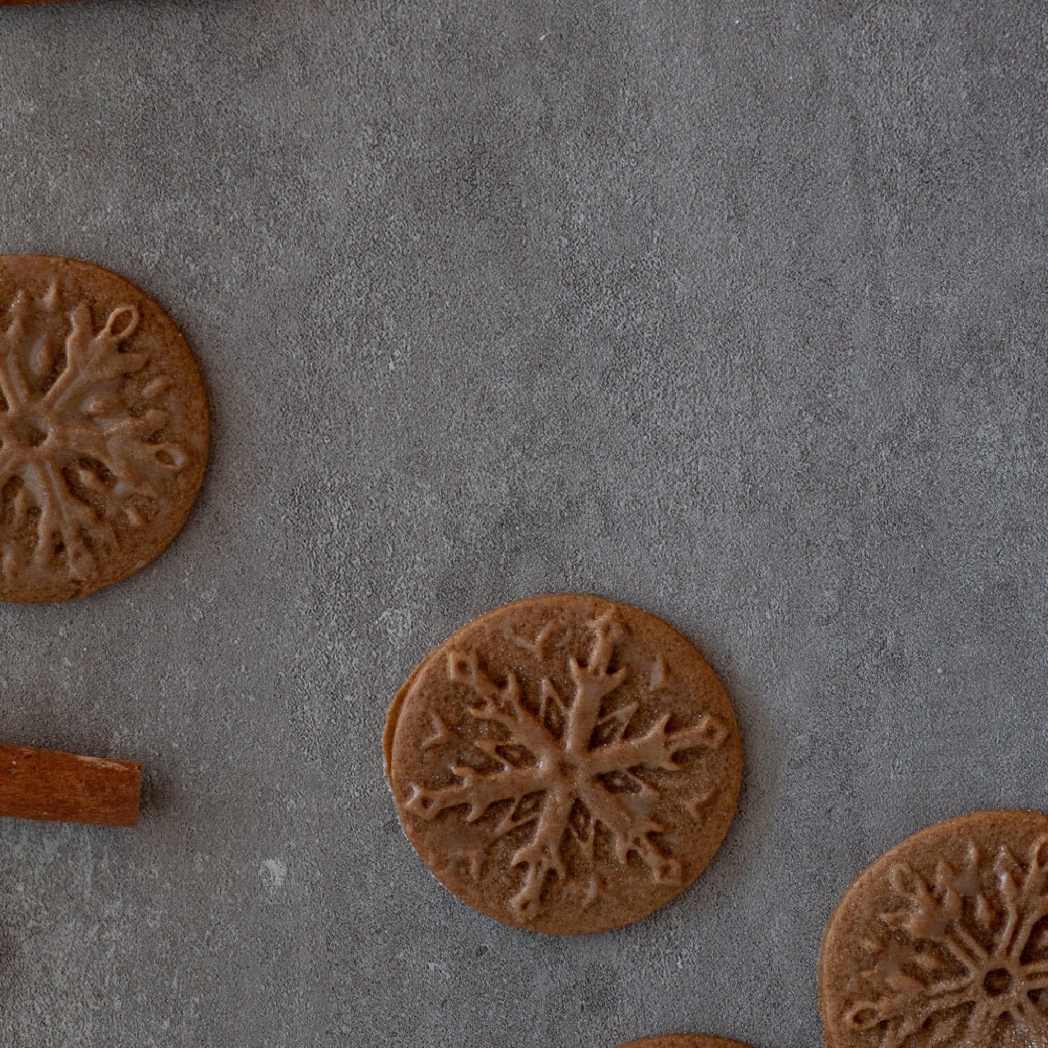 Gingerbread Stamp Cookies - A Beautiful Holiday Cookie