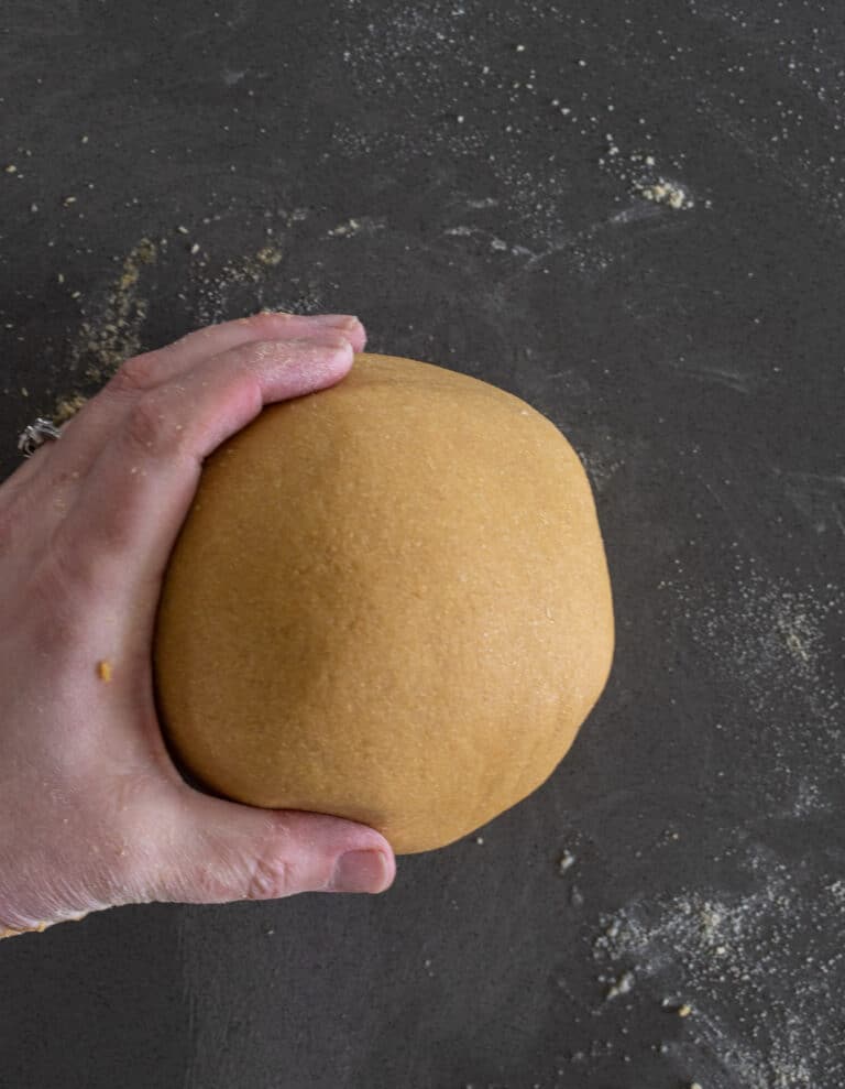 Kamut Pasta Recipe - A Red Spatula