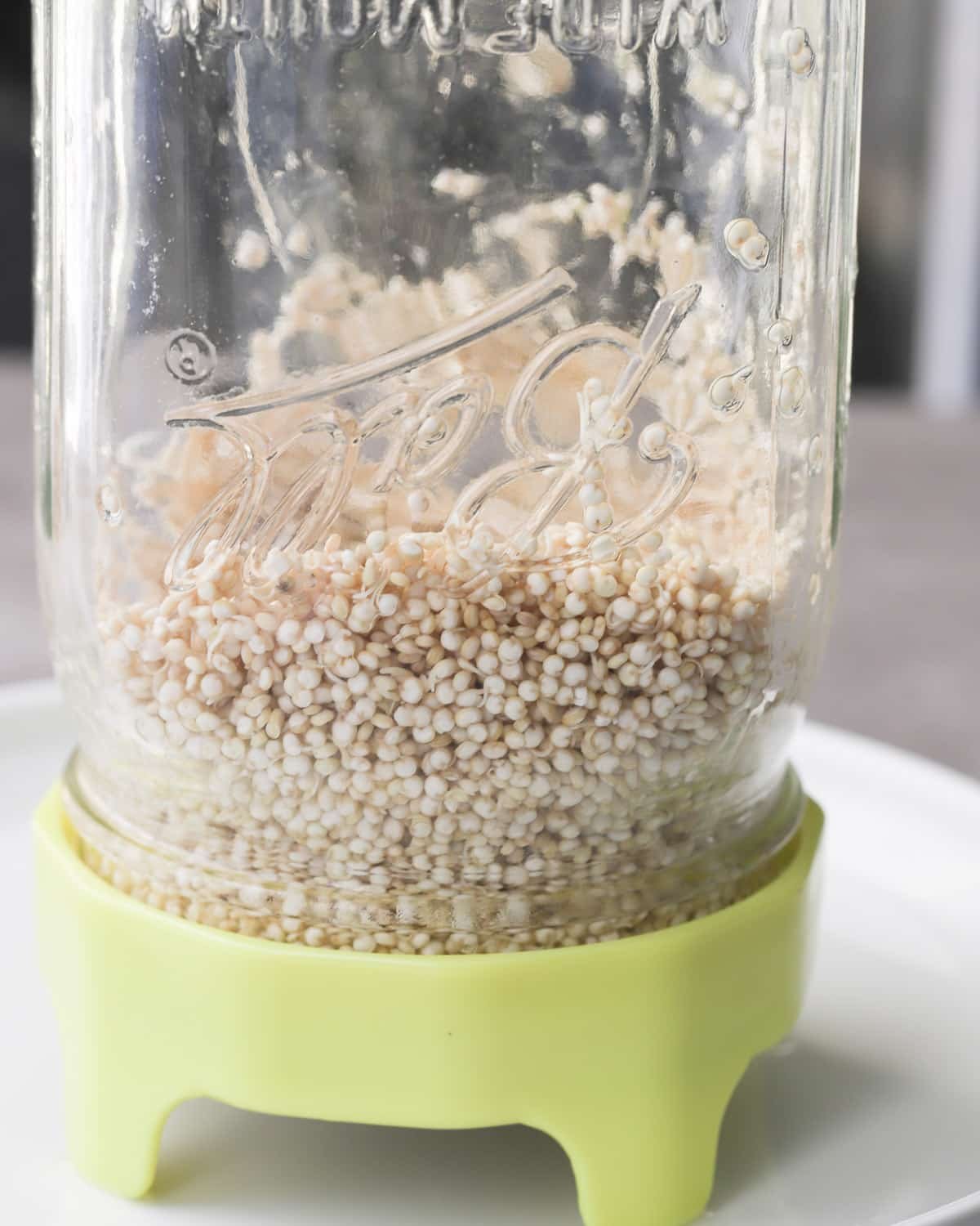How To Sprout Quinoa - A Red Spatula