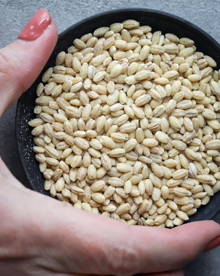 Barley Vs. Oatmeal - A Red Spatula