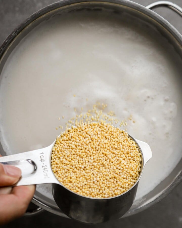 Creamy Millet Porridge Recipes - A Red Spatula
