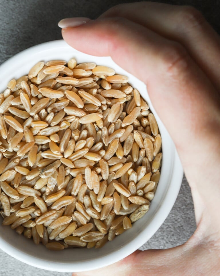 Effortless Kamut In The Instant Pot - A Red Spatula