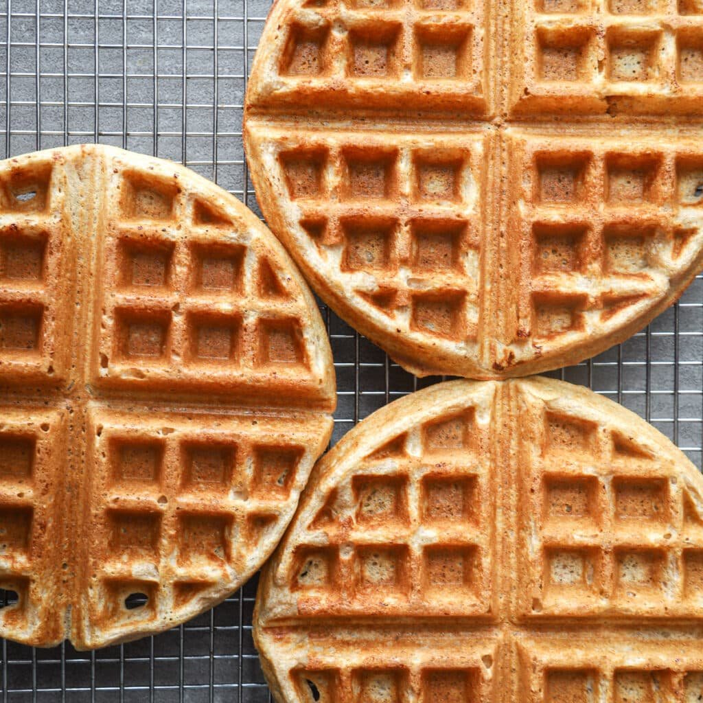 Quick and Fluffy Homemade Einkorn Waffles Recipe - A Red Spatula