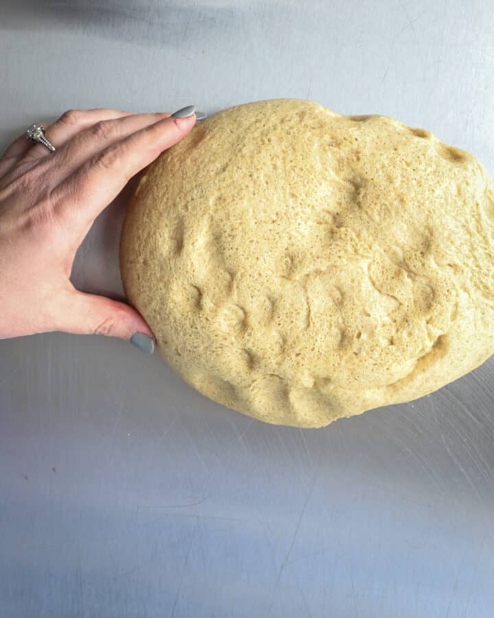 Soft Homemade Rye Flour Dinner Rolls Recipe - A Red Spatula