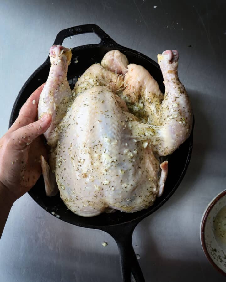 Cast Iron Chicken Skillet - A Red Spatula