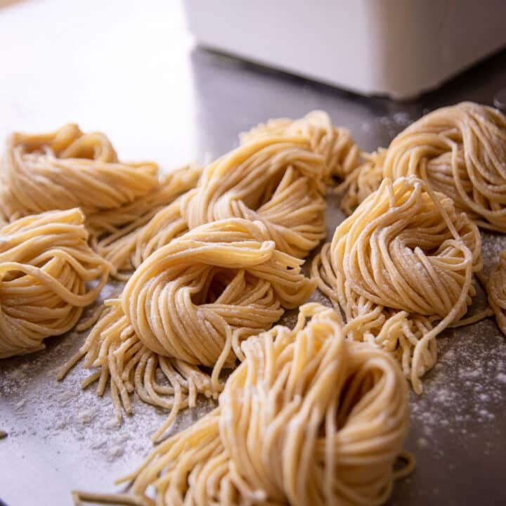 Pasta Extruder Recipe (With Eggs) - A Red Spatula