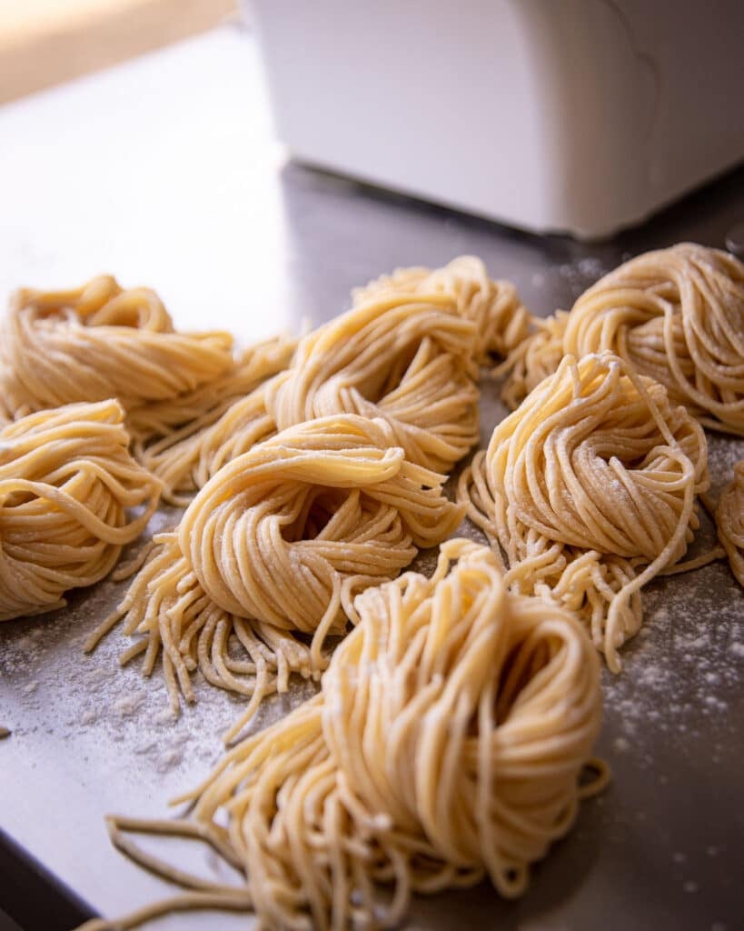 Pasta Extruder Recipe (With Eggs) - A Red Spatula